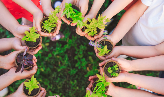 How can you prepare your children for environmental conservation ...